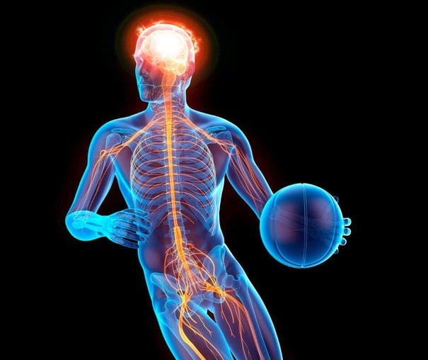 How to Regulate Your Nervous System - Healium